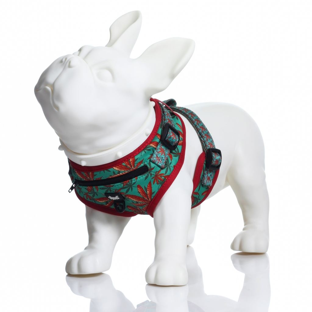 HeadyPet™ Harness - Money – Heady Pet
